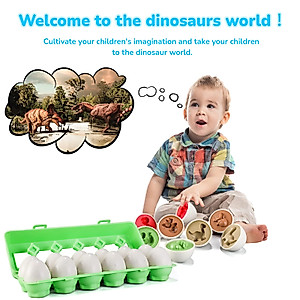 MINGKIDS Dinosaur Toys for 1 2 Year Old Boys Girls,12 PCS Matching Dinosaur Eggs with Holder, Easter Gifts for 1 2 3 Year Old,Montessori Toys for 1 2 3 Year Old