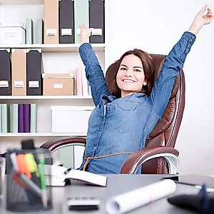 Office Chair Desk Chair Computer Chair Ergonomic Task Rolling Swivel Adjustable Stool High Back Executive Chair with Lumbar Support for Women Men,Brown