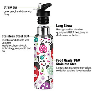 KEEPREAL Ladybug Water Bottle with Straw, 22 OZ Sports Water Bottle BPA Free Stainless Steel Water Jugs for Gym, Travel, Working, Outdoor