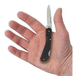 CASE KNIVES: Lightweight Synthetic Mini Blackhorn #: 00253