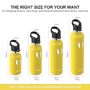 Super Sparrow Insulated Water Bottle with Straw -17 oz - Reusable Leak Proof Thermos - BPA-Free Kids Water Bottle Stainless Steel - 2 Lids Metal Water Bottle for Sports, Travel, Camping