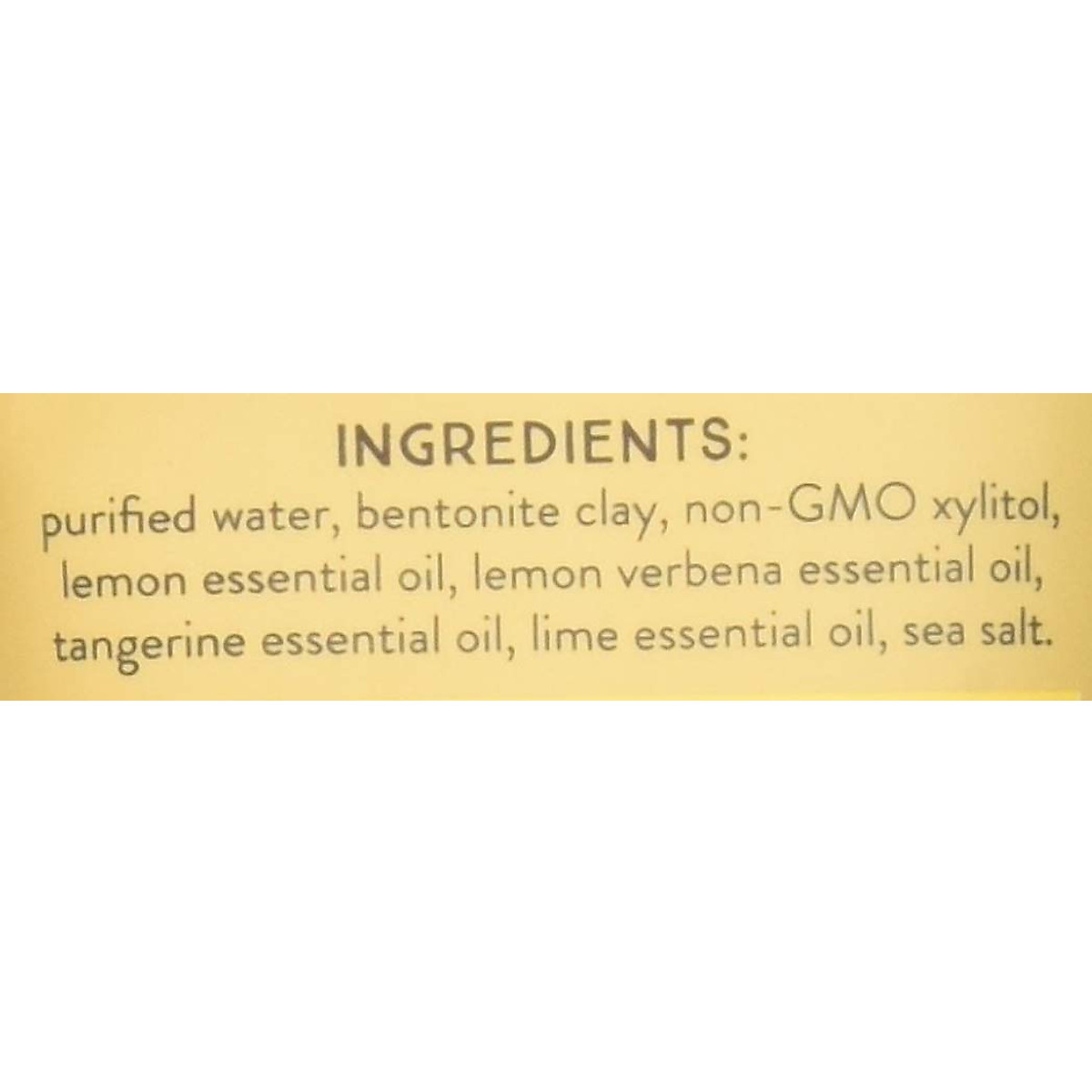 REDMOND REAL SALT Lemon Twist Earthpaste, 4 OZ