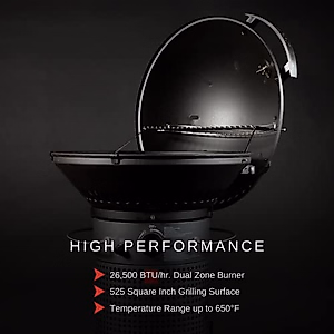 Fuego F24C Professional Propane Gas Grill