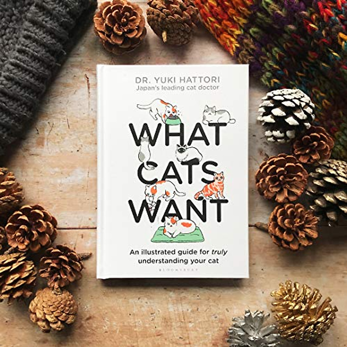 What Cats Want: An illustrated guide for truly understanding your cat