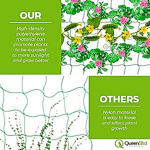 QueenBird Trellis Netting - Heavy Duty Garden Trellis Netting for Climbing Plants - 5.9 Feet X 16.4 Feet -Very Strong Support for Vegetables, Clematis, Cucumber,Tomatoes and Vine Plants