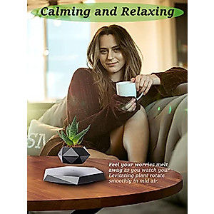 BandD Floating Plant Pot - Levitating Plant Pot for Succulents, air Bonsai & air Plants. Floating Planter for Home, Office & Desk Levitating Decor. Magnetic Floating Levitating Display. (Black)