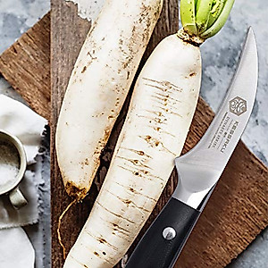 KESSAKU Tourne Peeling Paring Knife - 3 inch Bird's Beak - Dynasty Series - Razor Sharp Kitchen Knife - Forged ThyssenKrupp German High Carbon Stainless Steel - G10 Garolite Handle with Blade Guard