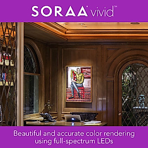 SORAA Vivid BR30 Dimmable 3000K Light Bulb