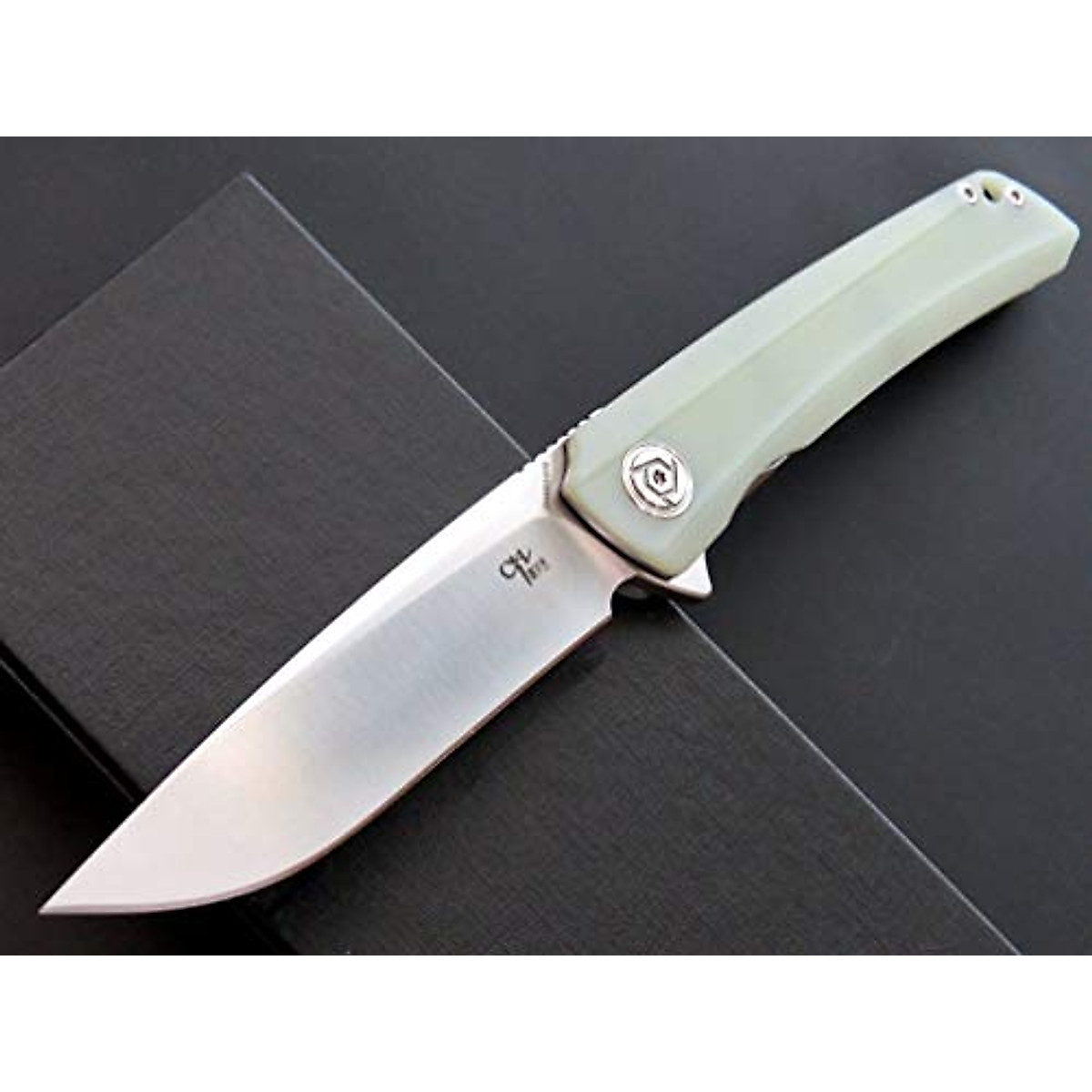 Eafegrow CH3002-G10 Folding Camping Knives 3.7 inch D2 Blade and G10 Handle Pocket Knives Outdoor Hunting Knife Tactical Folding Knives (jade)