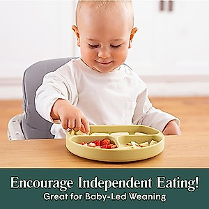 Simka Rose Baby Suction Plates for Baby & Toddler Plates Silicone Plate Baby Baby Dishes- BPA Free Silicone Divided Design Microwave & Dishwasher Safe - Baby Led Weaning Supplies Utensils (Pack of 1)