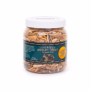 Tetra ReptoMin Floating Turtle Food and Fluker Labs Aquatic Turtle Treats