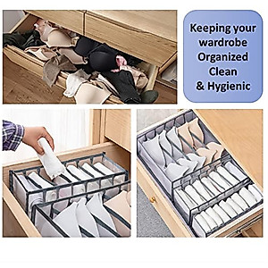 Fitster Wardrobe Clothes Organizer- 5 pieces 7 to 11 Grids- socks, Bra, Pants, Shirts, and Legging organizers (Gray)