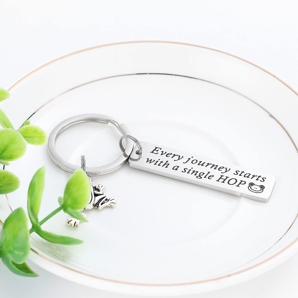 HUTIMY Frog Stuff Frog Gifts Keychain for Frog Lovers Women Men Frog Charm Jewelry Frog Keychain Frog Keychains