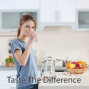 Naples Naturals - NAPLES-1089-BLKX1 1-Pack 1089F Alkaline Water Pitcher Filter Replacement Cartridge Black 1 X Model BLACK 1089