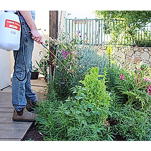 TABOR TOOLS 1.3 Gallon Lawn and Garden Pump Pressure with Pressure Relief Valve, Adjustable Shoulder Strap and Telescopic Adjustable Wand and VITON Seals. N50VA.