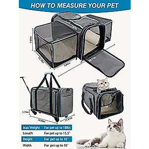 Cat Carrier, WHDPETS Large Pet Carrier with Wheels, Expandable Soft-Sided Cat Collapsible Carrier with 2 Large Extensions for Cats, Puppy and Small Animals