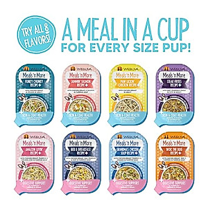 Weruva Meals 'n More Natural Wet Dog Food, Funky Chunky Plus Skin & Coat Health, 3.5oz Cup (Pack of 12)
