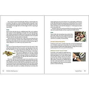 The Modern Herbal Dispensatory: A Medicine-Making Guide