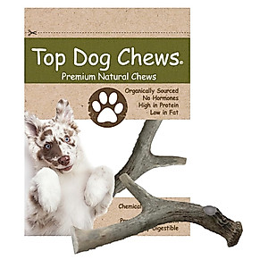 Top Dog Chews Large 6"-9" Long -Antler Dog Chew From Single Antler