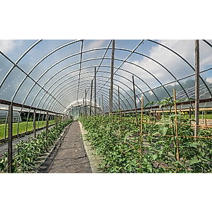 GRELWT Greenhouse Film 8 x 25 ft, 6 mil Thickness Covering Plastic, UV Resistant