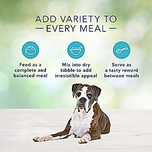 Blue Buffalo Freedom Grain Free Natural Senior Wet Dog Food, Chicken 12.5oz cans (Pack of 12)