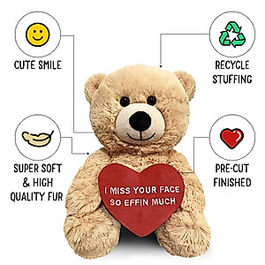 I Miss Your Face So Effin Much - 10" Teddy Bear & Gift Bag - Funny Stuffed Animal Plush Gift for Girlfriend, Boyfriend, Best Friend - Birthday, Anniversary, Valentines, or Long Distance - Witty Bears