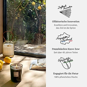 Esteban Home room spray 75ml amber perfume AMBRE