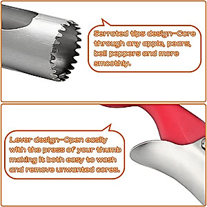 Premium Apple Corer Tool, Apple Corer Remover for Apple, Pear, Bell Pepper, Coconut, Pineapple, Easy to Use Durable Portable Apple Cutter