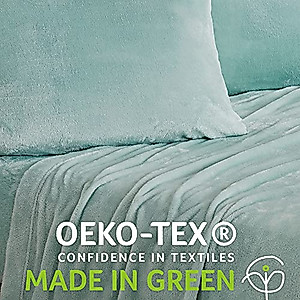 NY Loft Ultra Soft Micro Fleece Sheets Set with Extra Deep Pockets | Extra Soft Velvet Fleece Sheet Set | Super Plush Polar Fleece | Velvet Plush Cozy Warmth | Tribeca Collection (Queen, Surf)