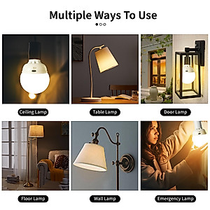 Rechargeable Light Bulbs, Battery Operated Light Bulb with Remote E26 LED Emergency Lightbulbs Warm White CCT with Timer Dimmable for Wall Wireless Sconce, Power Outage, Home, Porch (2 Lightbulbs)