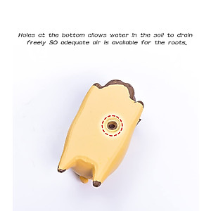 Cute Puppy Pug Flower Pot with Drainer Garden Flower Pot Resin Succulent Potted Bonsai Plant Stand Home Desk Mini Ornaments Balcony Gardening Flower Pot Does Not Contain Plants