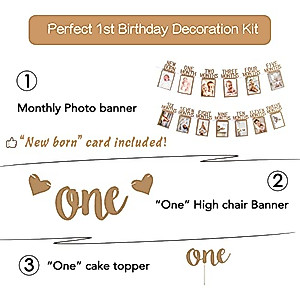 1st Birthday Baby Photo Banner Decorations Monthly Milestone Photograph Bunting Garland with First Birthday Cake Topper 1st birthday High Chair Banner, 4'' x 6''