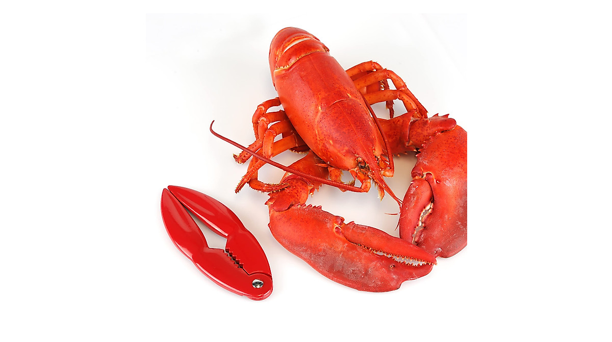 Nantucket Seafood Claw Cracker | Durable Lobster & Nut Cracker