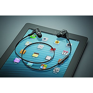 BackBeat GO 2 Wireless Earbuds (with Charging Case, Black)