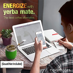 Novomates Easy Clean Yerba Mate Straw - Bombilla Mate for Mate Tea Drinking Filter Straw – Mate Straw Food-Grade Stanley Steel Mate Straw - 6.2" (15.8cm) Long (Mate Gourd not included)