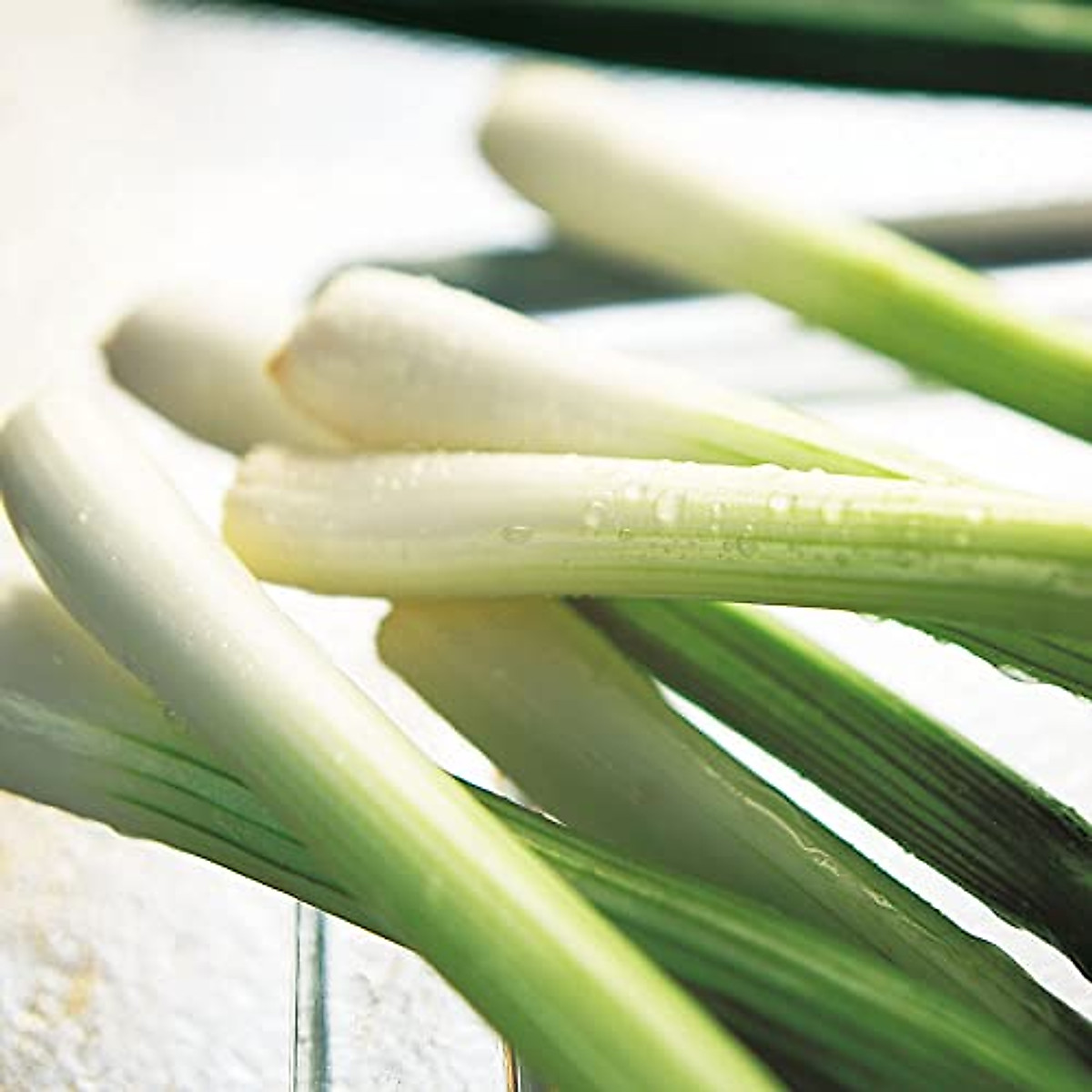 CHUXAY GARDEN 1200 Seeds White Lisbon Salad Onion, Spring Onions,Bunching Onions Sweet Mild Flavor Vegetable Can Make Delicious Food Great for Houseplant
