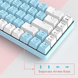 MANBASNAKE MK14 60% Mechanical Gaming Keyboard, Compact 68 Keys Mini Wired Office Keyboard, Hot Swappable RGB Gaming Keyboard with Blue Switch for Windows/Laptop/PC/Mac Gamer