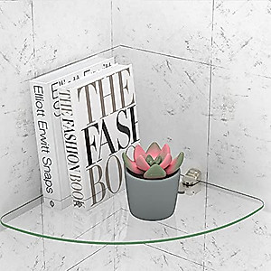 WALI Corner Floating Wall Mounted Shelf with Transparent Strengthened Tempered Glasses Wall Decor Display Storage Shelf for Bedroom, Living Room, Kitchen, Office (CS001S), 1 Shelf, Silver