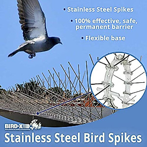 Bird-X Standard (STS-10-R) STAINLESS STEEL SPIKES-10, 10 feet