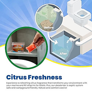 Walex Citra-Pak RV/Marine Holding Tank Deodorizer Drop-Ins - Waste Breakdown & Odor Control, Cleans Holding Tank & Sensors, Biocide-Free, Treatment for RVs, Boats, & Portable Toilets - Citrus, 30 Pack
