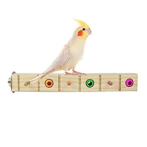Parrot Bird Wood Perch Platform Corner Stand Shelf for Birds Budgie Parakeet Cockatiel Conure Cockatoo Macaw（F）