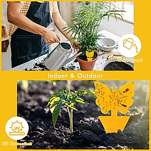 Adawook 24pcs Sticky Traps, Fruit Fly Traps for Indoors, Gnat Sticky Traps for House Plant, Fruit Fly, Whitefly, Fungus Gnat,and Bugs, Yellow