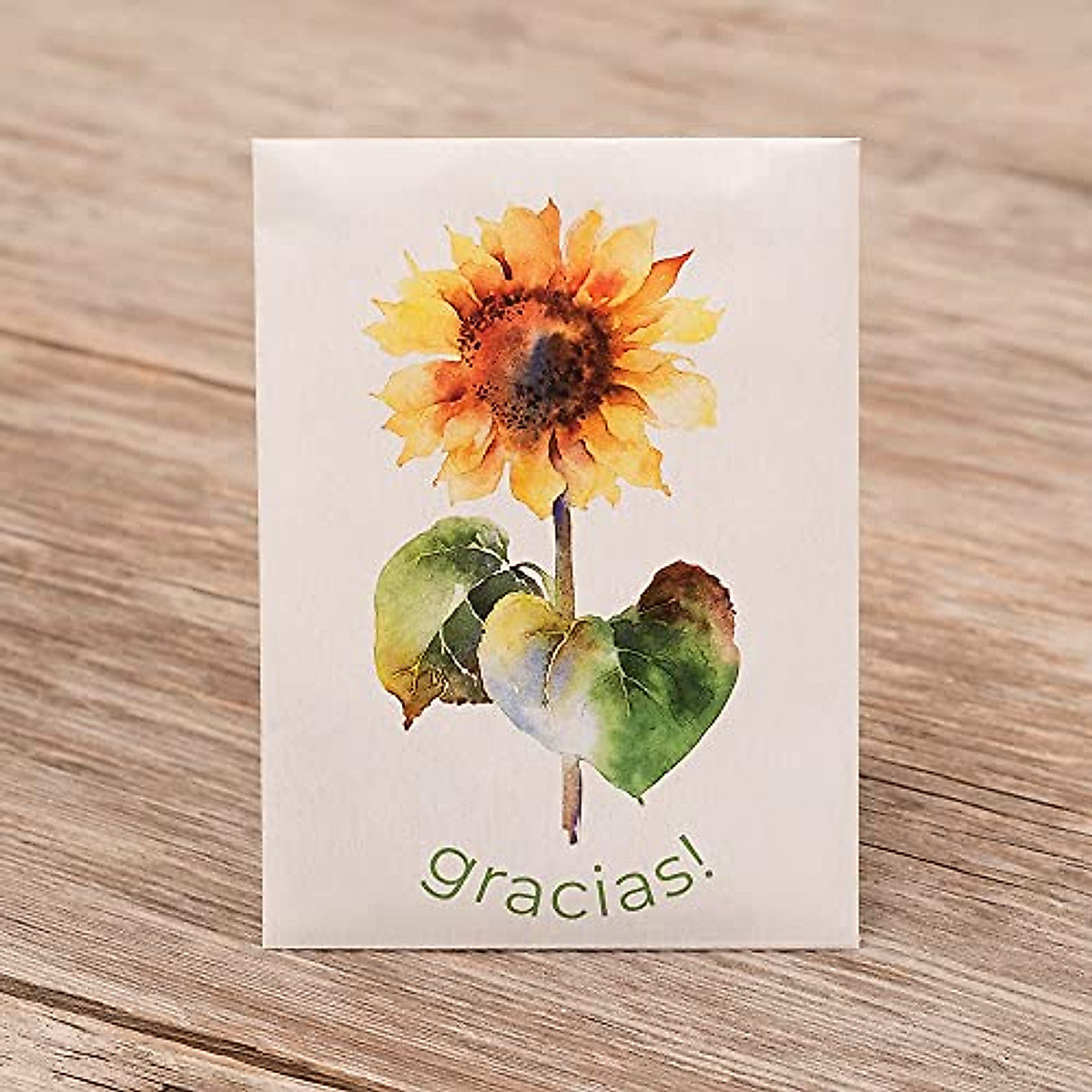 Gracias! 25 Sunflower Seed Packets for Planting - Helianthus Flower Seeds - Garden Seed to Grow Live Plants - A Beautiful Gift That Says Thank You in Spanish - Bentley Seed Co.