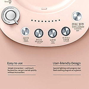 BUYDEEM K2693 Health Pot, Health-Care Beverage Electric Kettle with Thickened Glass, 9-in-1 Fully Automatic Programmable Brew Cooker, 1.5 L, Pink
