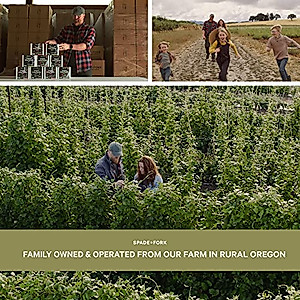 Organic Herb Garden Kit Indoor - Certified USDA & Made in USA | Herb Plants for Women and Men, Indoor Herb Garden Starter Kit, Herb Growing Kit Indoor, Plant Growing Kit, Herb Starter Kit, Plant Kit