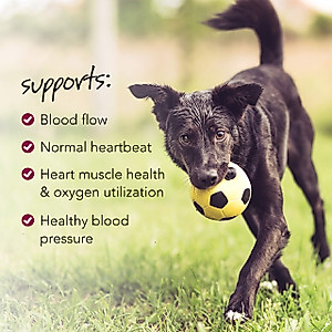 VETRISCIENCE Vetri Cardio Canine Complete Cardiovascular Support for Dogs with CoQ10, Taurine and Arginine, 60 Chews