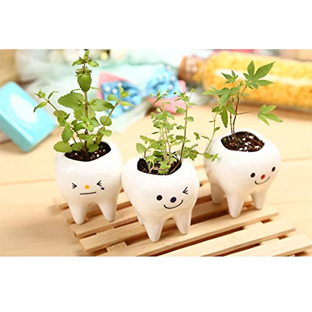 MONMOB Pack of 3 Mini Shaped Tooth Planter Ceramic Succulent Plant Pots Set for Small Succulent Tooth Gifts for Adults Kids Women Dentist