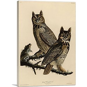 ARTCANVAS Great Horned Owl Canvas Art Print Stretched Framed Painting Picture Poster Giclee Wall Decor by John James Audubon - 12" x 8" (0.75" Deep)