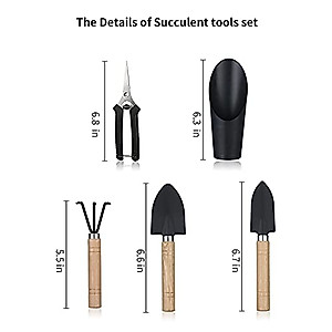 5Pcs Succulent Tools,Mini Garden Tools,Pruning Scissors as Plant Accessories,Succulent Gardending Hand Tools Kit for Seedling Soil,Caring Succulent,Houseplent,Bonsi,Gifts for Woman and Man