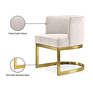 Meridian Furniture Gianna Collection Modern | Contemporary Velvet Upholstered Dining Chair with Durable Stainless Steel Base in Rich Gold Finish, 24" W x 22" D x 29.5" H, Cream